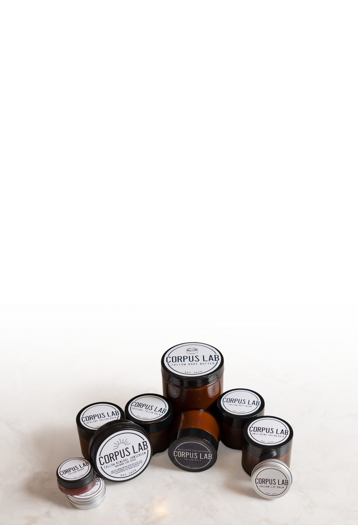 CORPUS LAB – Corpus Lab